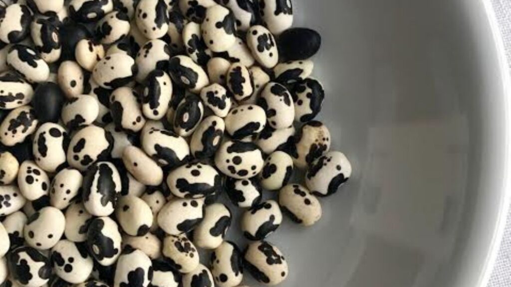 Frijol de vaquita: el tesoro gastronómico poco conocido de México ...