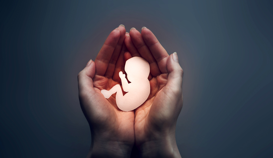 Manipulación de cifras sobre aborto en México: distorsión que afecta a ...